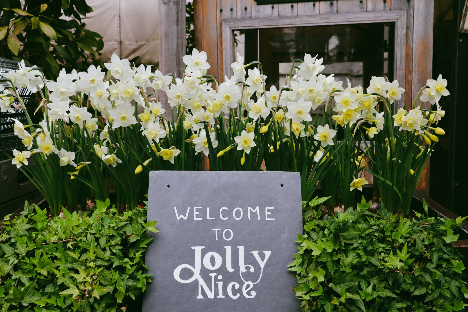 Jolly Nice Farmshop, Cafe, Drive Through | Open 8am - 8pm Everyday