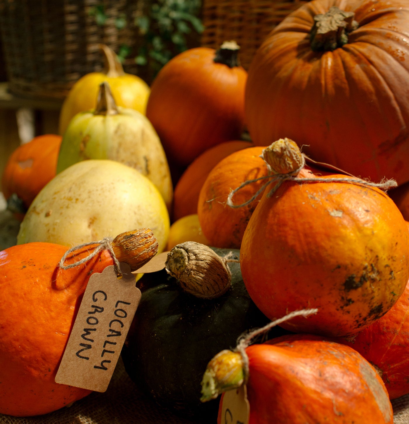 Jolly Nice Farmshop, Cafe, Drive Through | Open 8am - 8pm Everyday