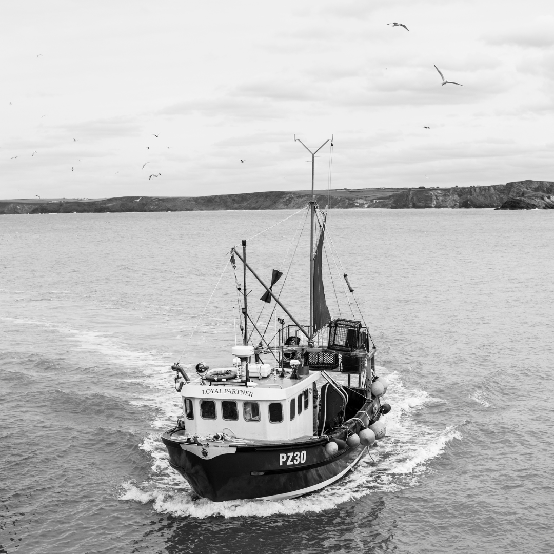 Jolly Nice Menu – Drive through, Café & Bar