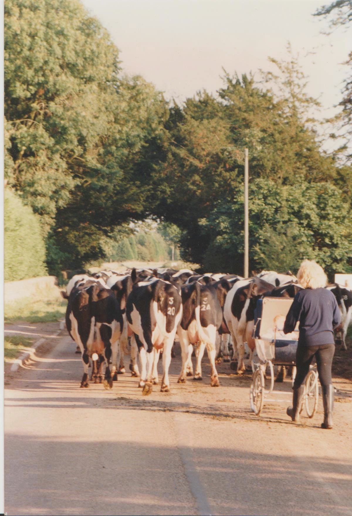 Farming Friends in the Cotswolds | Jolly Nice Farm Shop
